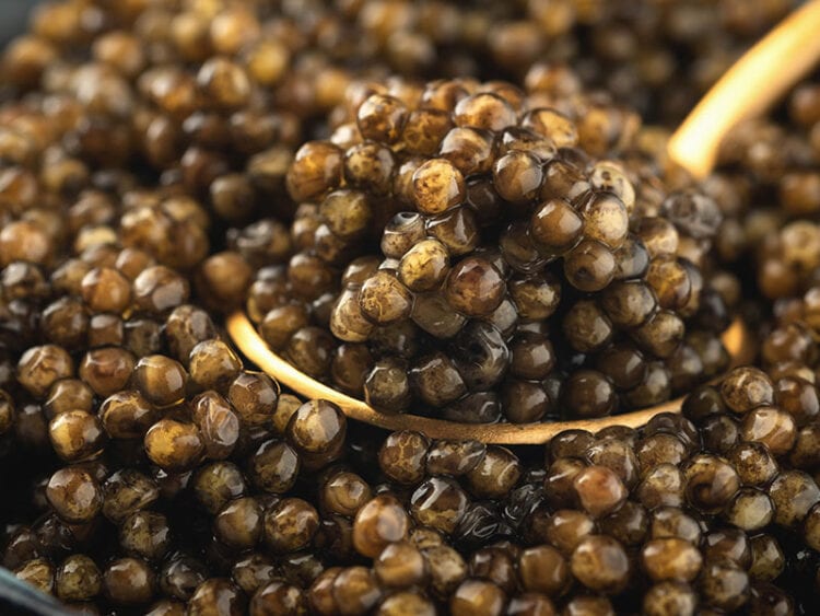 What Color Is Caviar? Interesting Facts You Need to Know