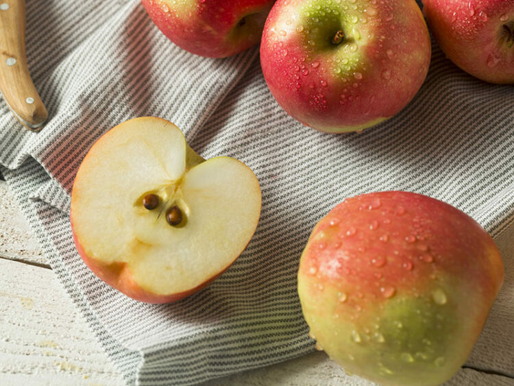 26 Different Types of Apples to Discover for Every Taste