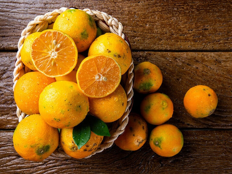 22 Types of Limes to Discover