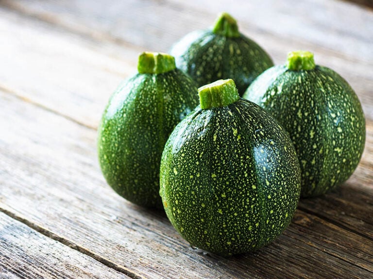15 Different Types of Zucchini to Try: Discover Delicious Varieties in 2024