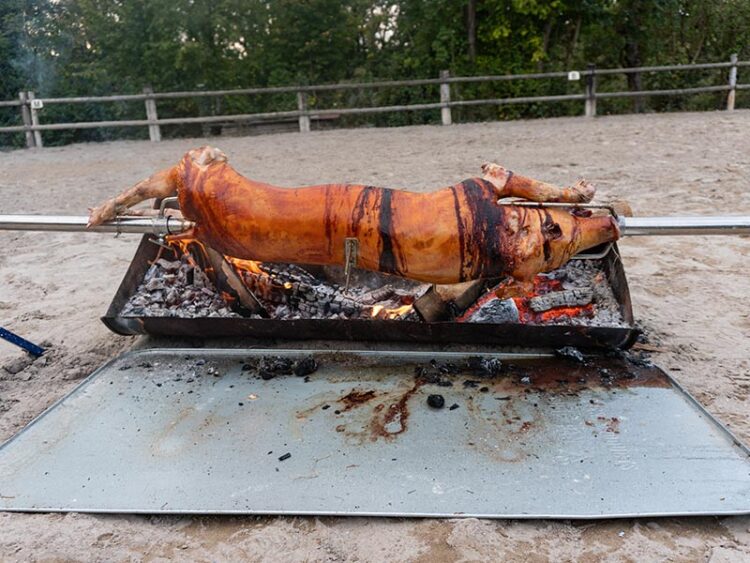 30 Most Popular German Foods to Savor