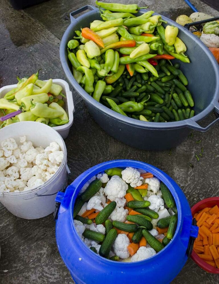 34 Must-Try Macedonian Foods