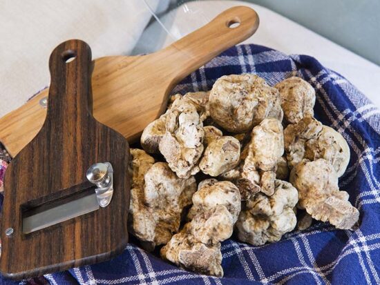 13 Types of Truffles to Discover in 2024