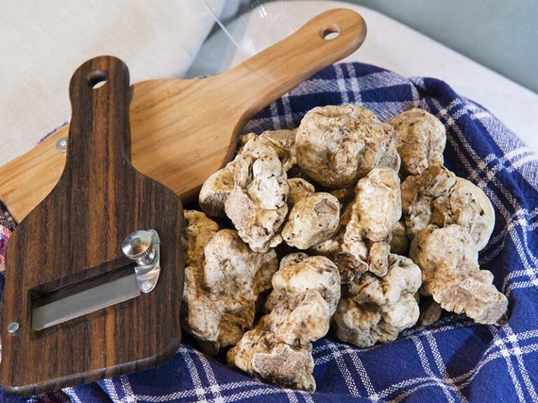 13 Types of Truffles to Discover in 2024