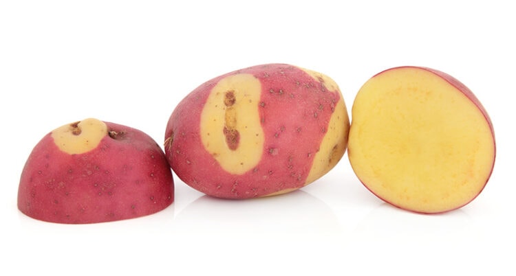 35 Sweet Potato Varieties to Enjoy in 2024