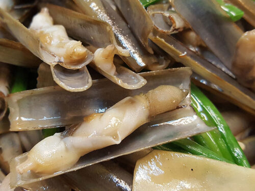 A Complete Guide to 15 Clam Varieties