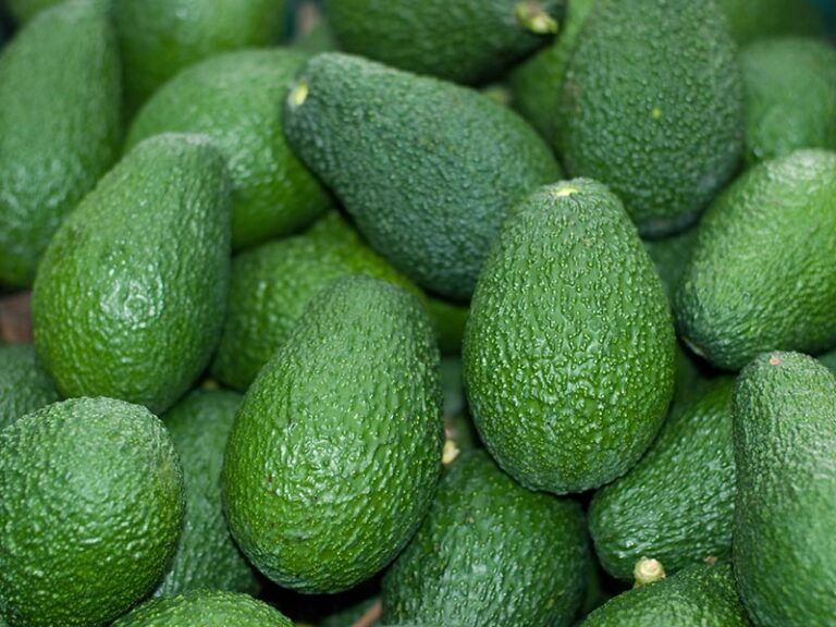 23 Popular Spanish Fruits to Savor