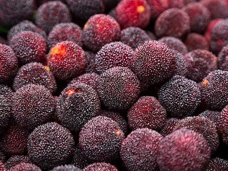 25 Chinese Fruits to Try