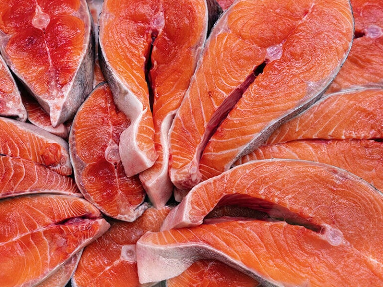 7 Types of Salmon to Enjoy for an Authentic Taste