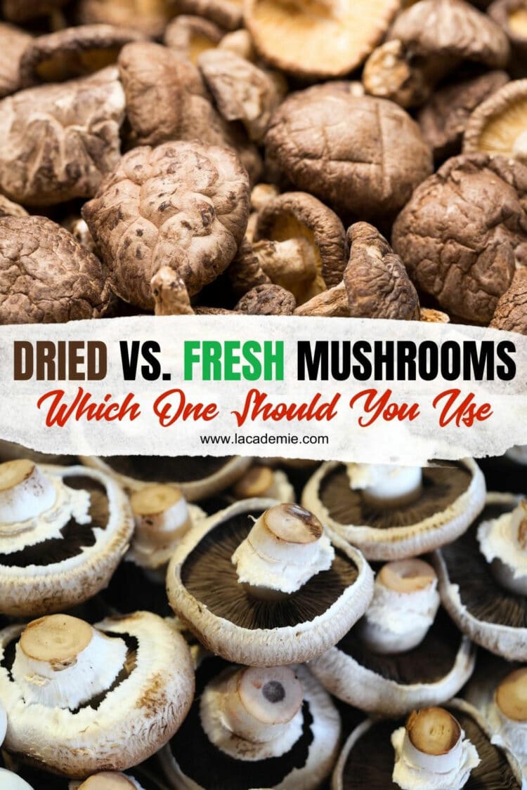 Dried Vs Fresh Mushrooms Which Is Better For Your Dish In 2024