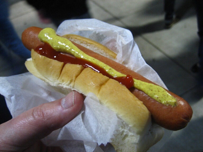 45 Different Types of Hot Dogs From Around the World