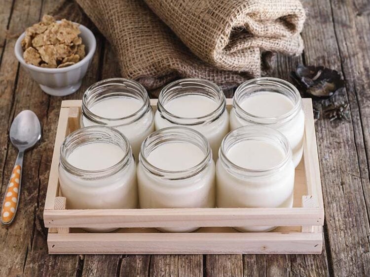 16 Yogurt Varieties to Relish for Genuine Flavors