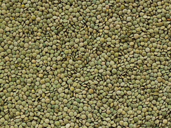 8 Lentil Types to Discover for a True Taste
