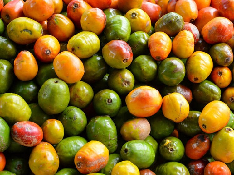 20+ Mexican Fruits to Add to Your Diet