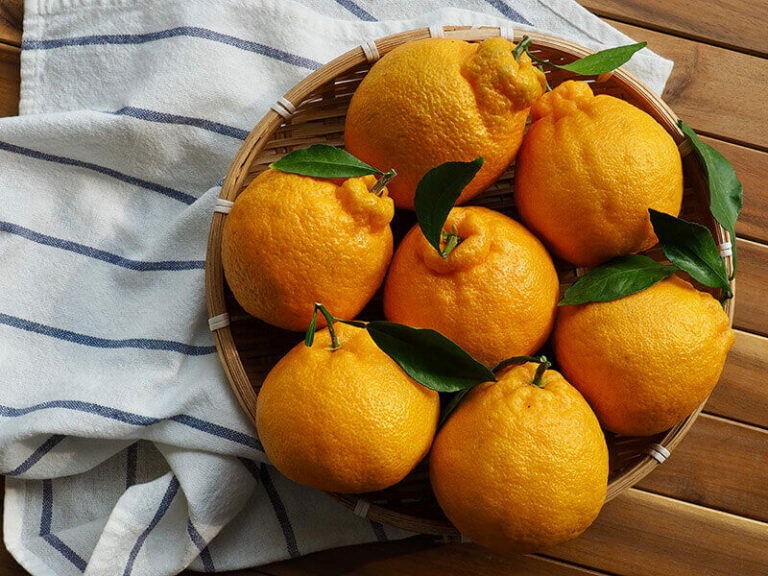 12+ Must-Try Korean Fruits for a Taste of Korea