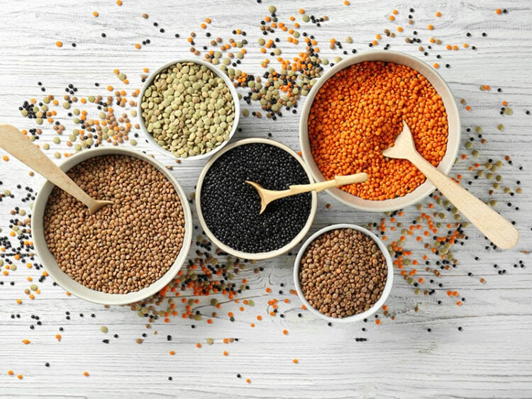 8 Lentil Types to Discover for a True Taste