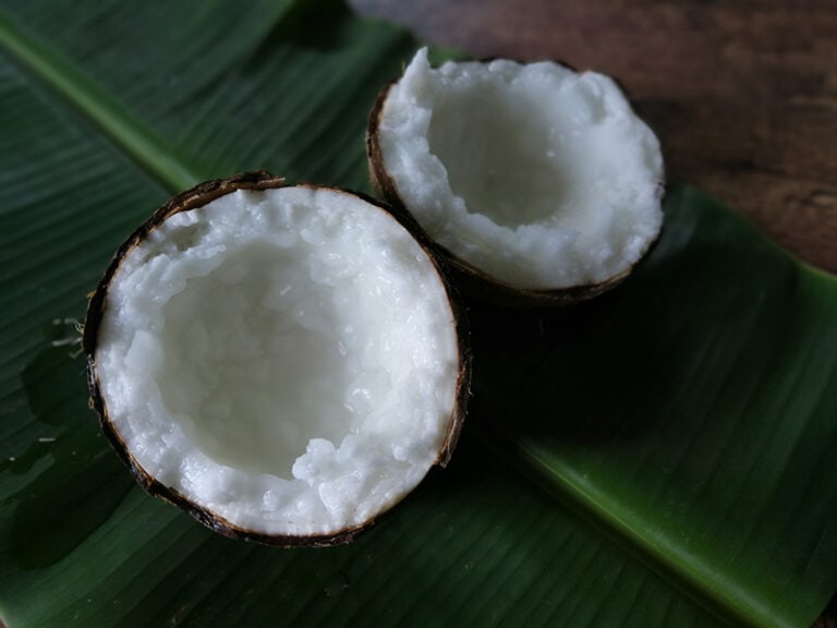18 Types of Coconuts for a Tropical Taste