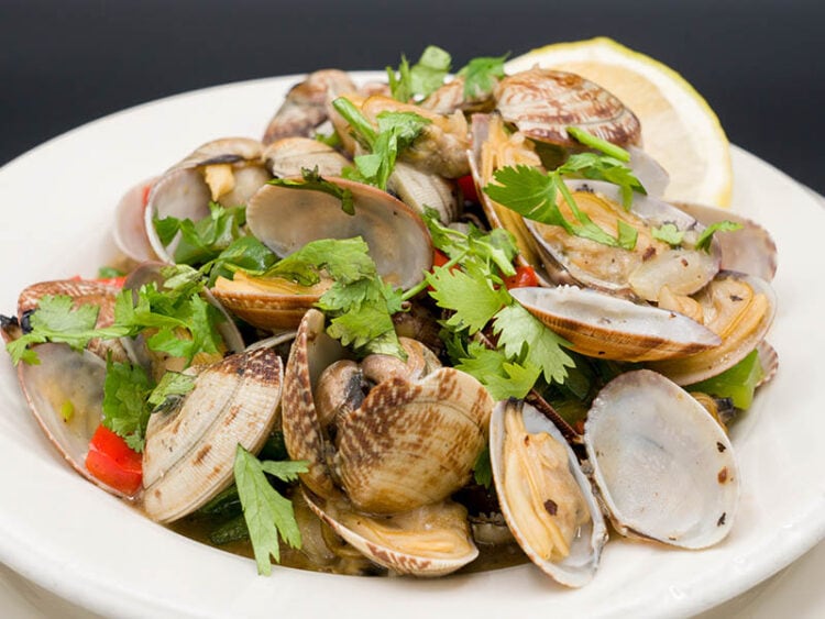 A Complete Guide to 15 Clam Varieties