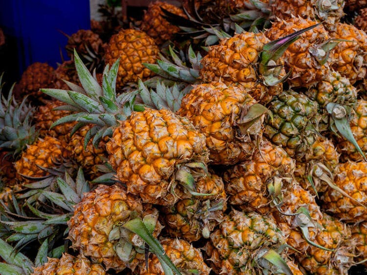 31 Different Types Of Pineapple You Must Taste In 2023