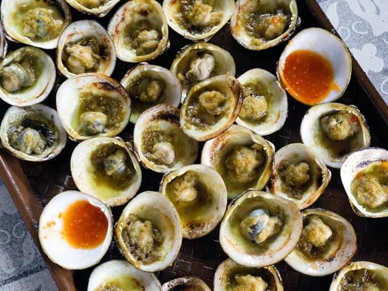 A Complete Guide to 15 Clam Varieties