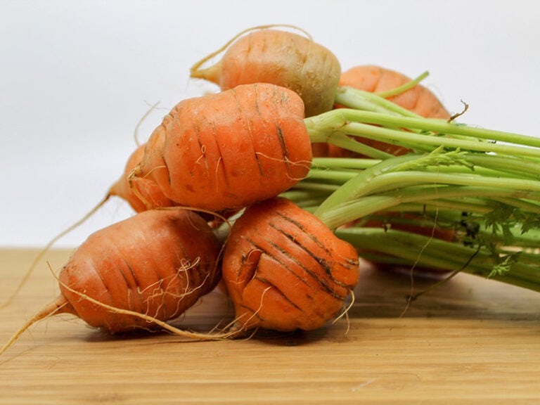 45 Types of Carrots to Add to Your Menu