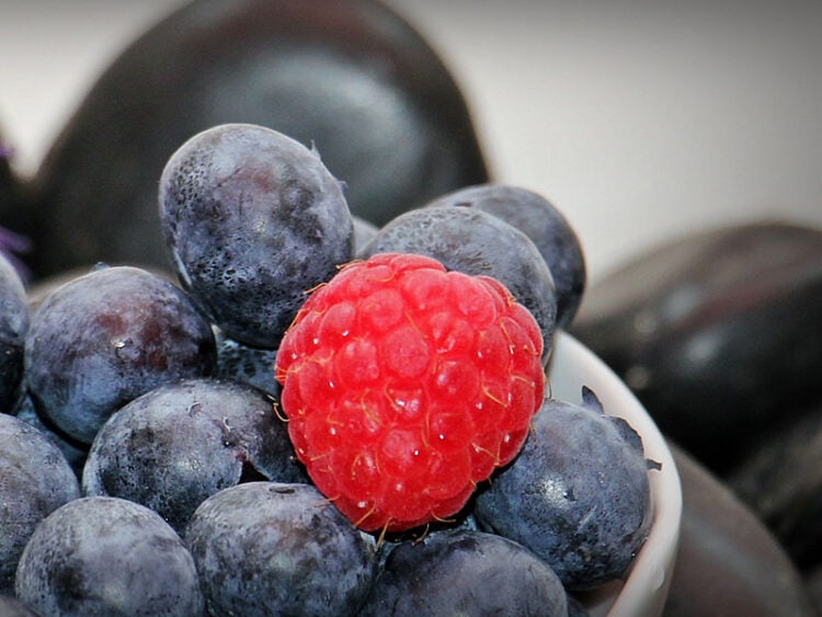 21 Types of Raspberries to Discover and Savor in 2024