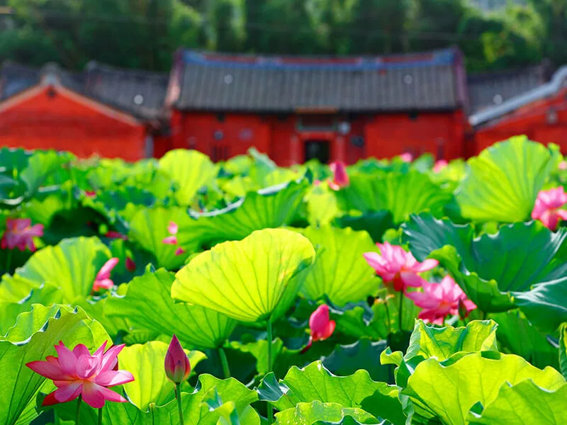 Taiwanese Food: 48 Popular and Delicious Foods to Enjoy