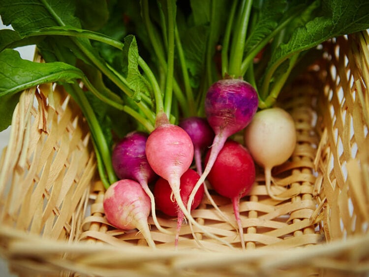 How To Store Turnips: Quick And Easy Methods 2023