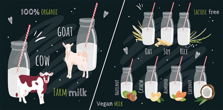 22 Types of Milk for a Rich Experience