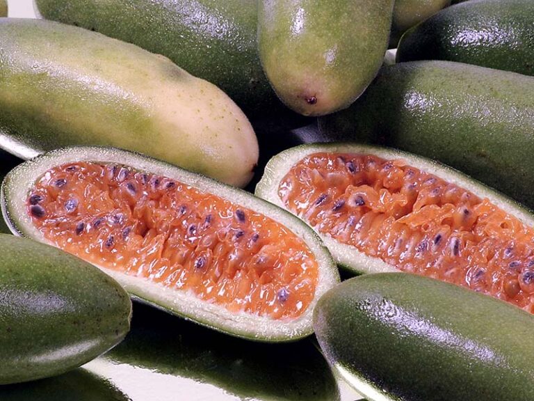 20+ Best Peruvian Fruits You Should Not Neglect