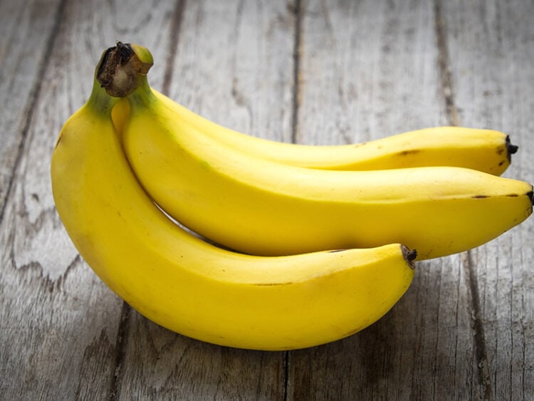 19 Different Types of Bananas: A Comprehensive Guide for 2024