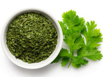 Guide to Storing Fresh Cilantro