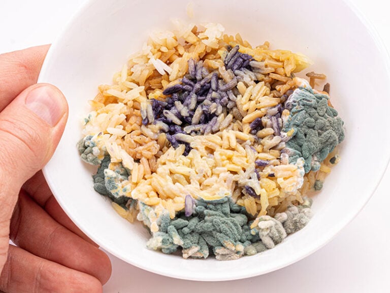 Can You Eat Cold Rice? Important Safety Tips