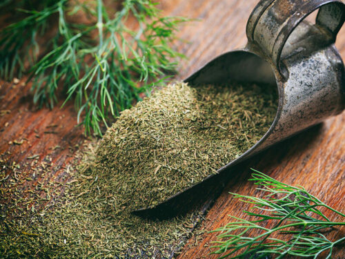 Top Methods for Storing Fresh Dill at Home