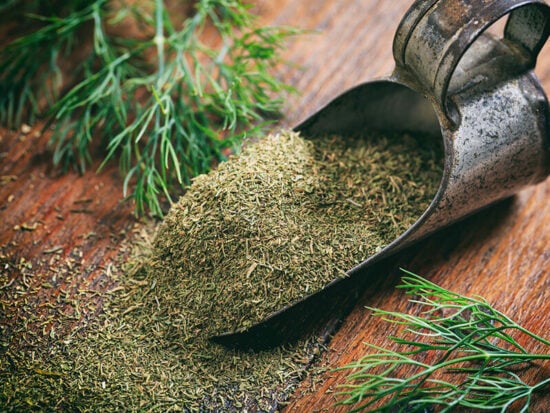 Top Methods for Storing Fresh Dill at Home