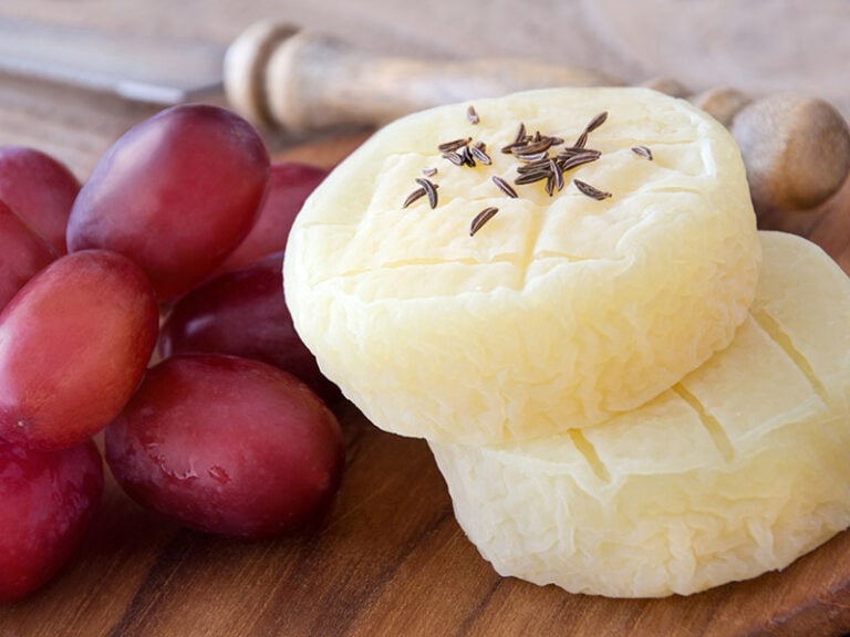 15+ Must-Try German Cheeses to Enhance Your Meals