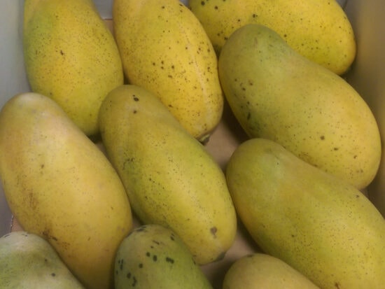10+ Juicy and Famous Haitian Fruits to Savor
