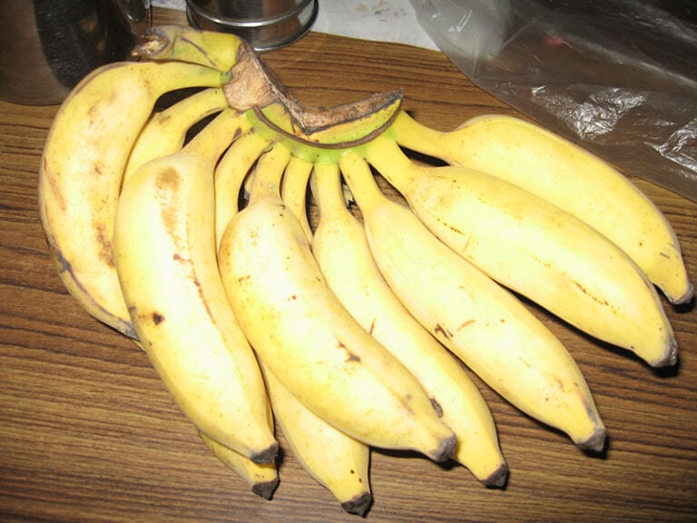 19 Different Types Of Bananas: A Complete Introduction 2023