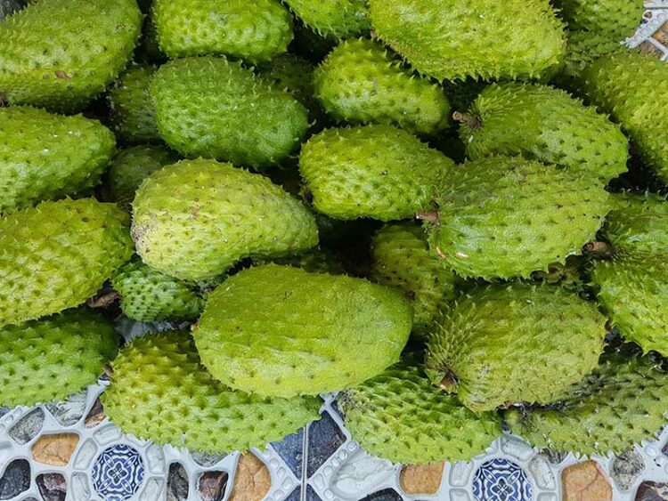 29+ Exotic Jamaican Fruits to Enliven Your Taste Buds