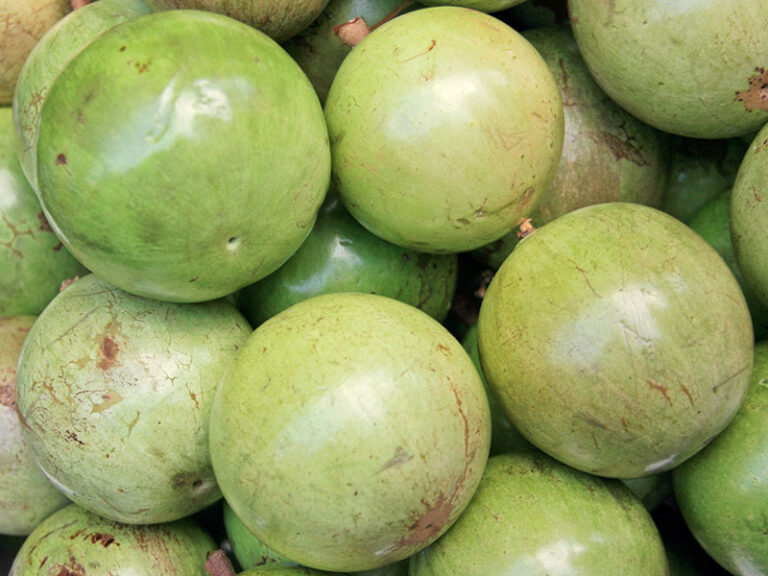 10+ Juicy and Famous Haitian Fruits to Savor