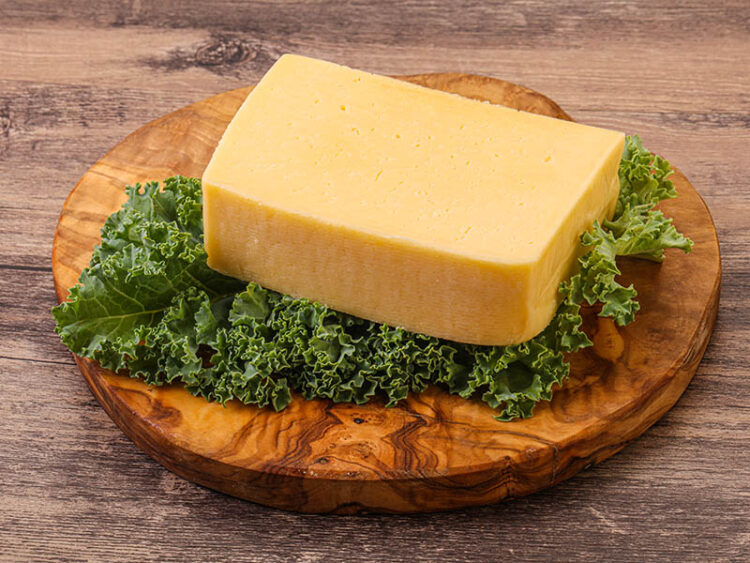 15+ Must-Try German Cheeses to Enhance Your Meals