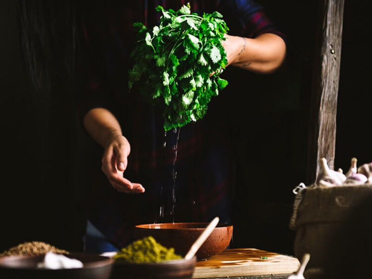 Guide to Storing Fresh Cilantro
