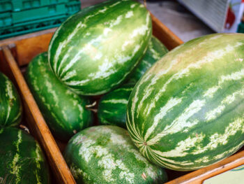 10+ Must-Try Greek Fruits for a Taste of the Mediterranean