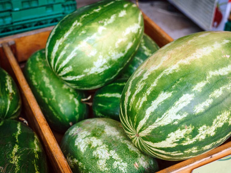 10+ Must-Try Greek Fruits for a Taste of the Mediterranean