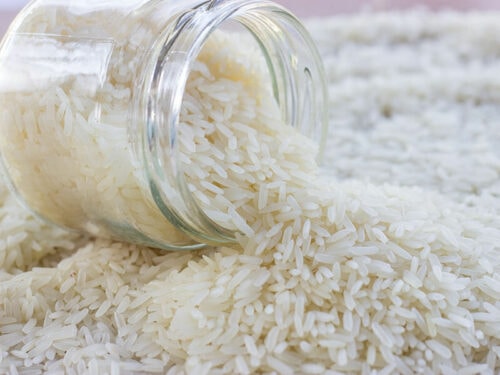 Can You Freeze Uncooked Rice? Learn