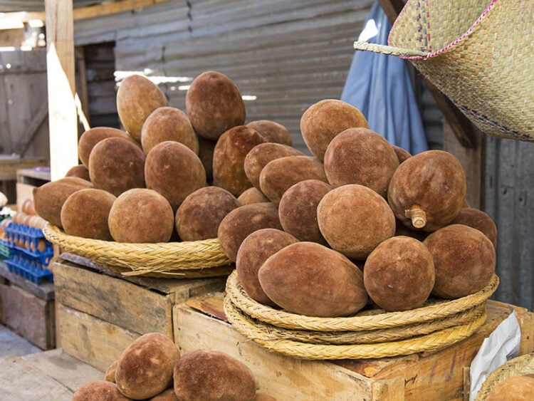 Discover the Top 10 Gray Fruits Worldwide