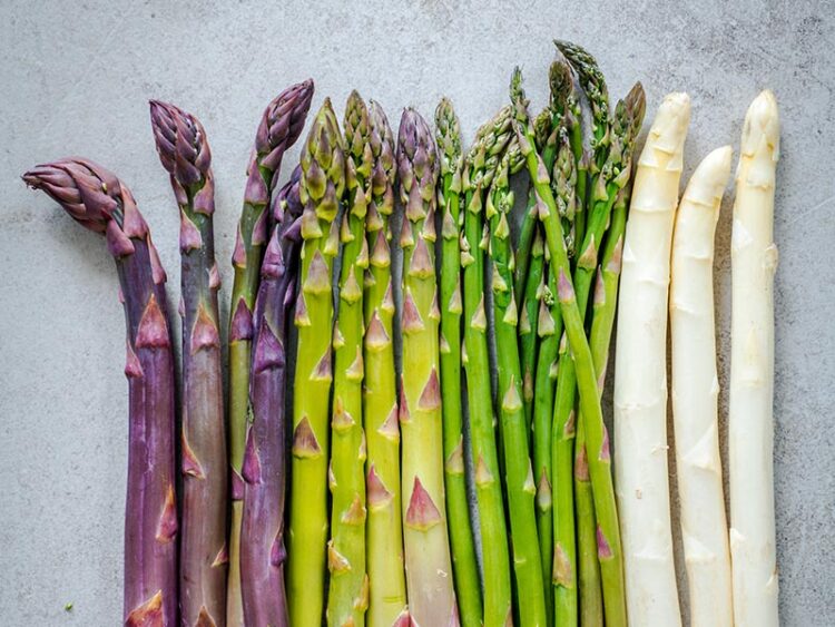 15 Types of Asparagus Varieties for a Gourmet Experience in 2024