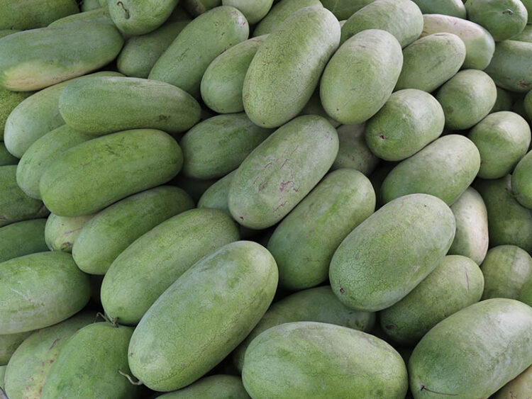 Top 24 Gray Foods Making Waves in 2024