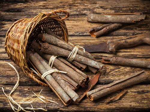 4 Different Types of Cinnamon to Know