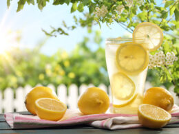 Pink Lemonade vs. Regular Lemonade: Differences